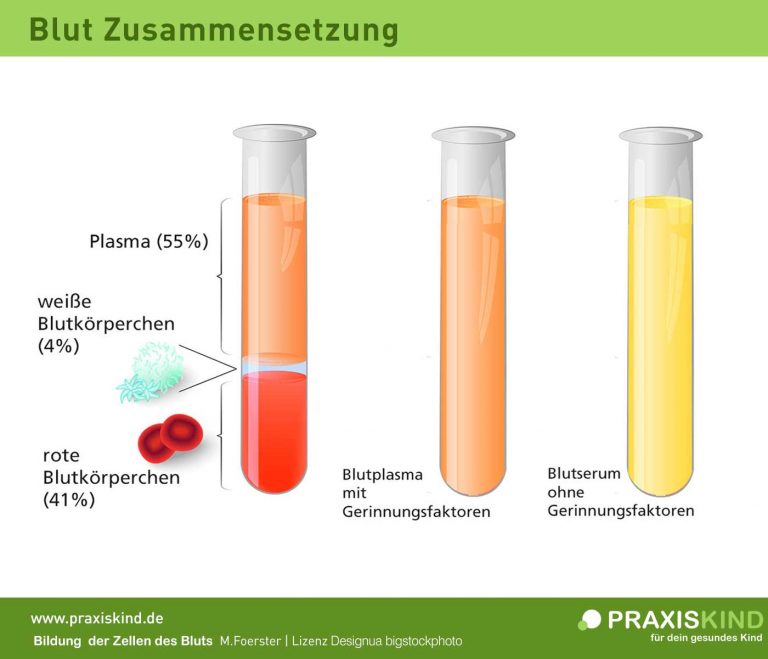 Infografiken zu Hämatologie und Blut » Fotokunstweb.de